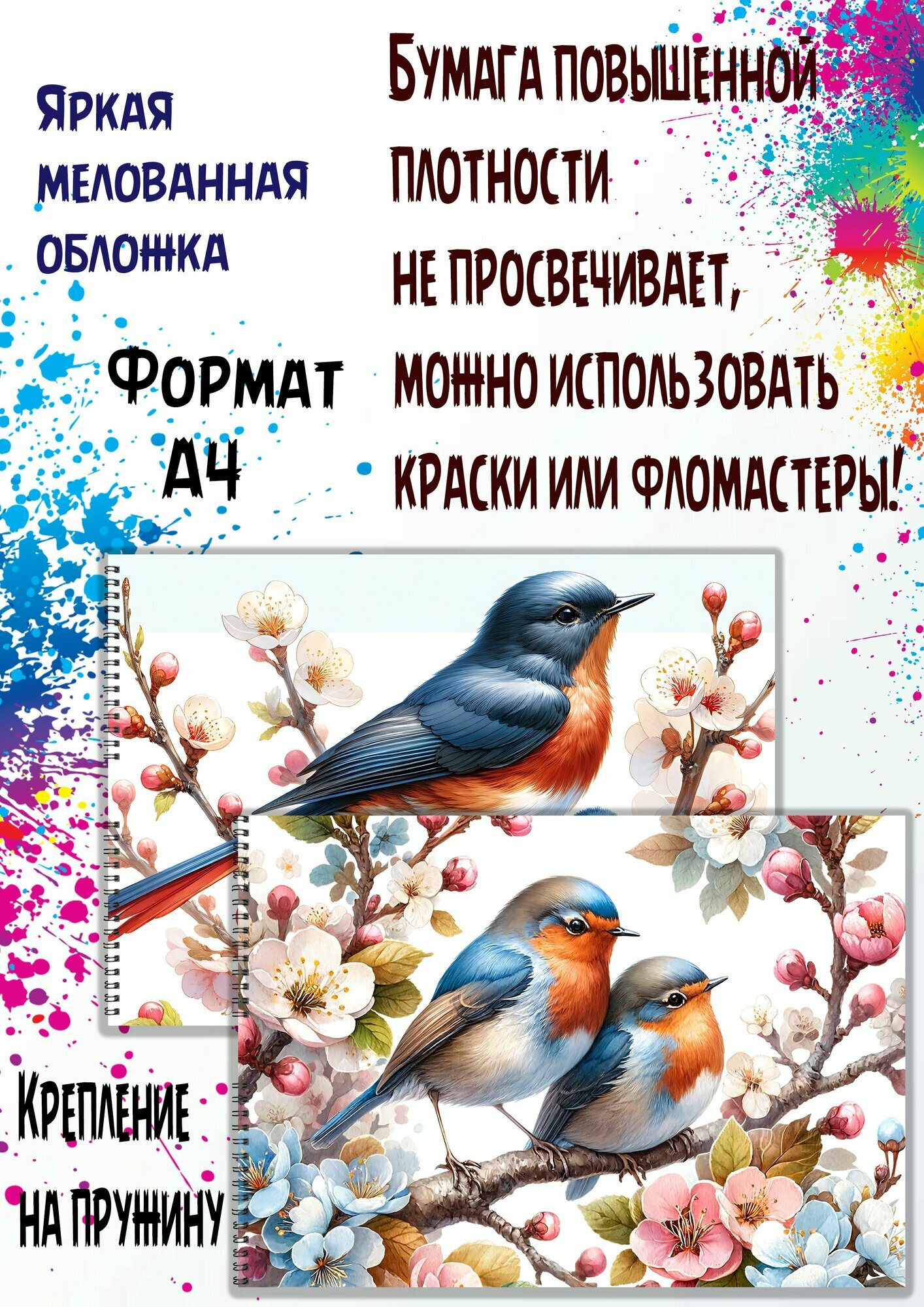 Альбомы для рисования Птички — фото 1