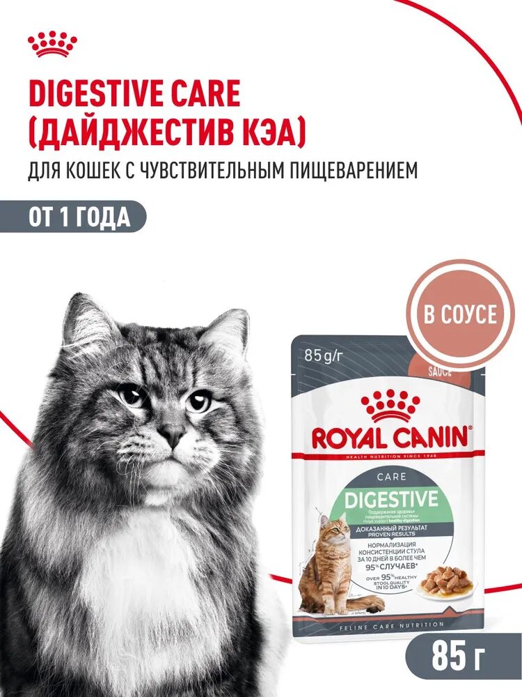 Влажный корм для кошек Royal Canin Digestive Care с чувствительным пищеварением, кусочки в соусе, 85 г х 28 шт