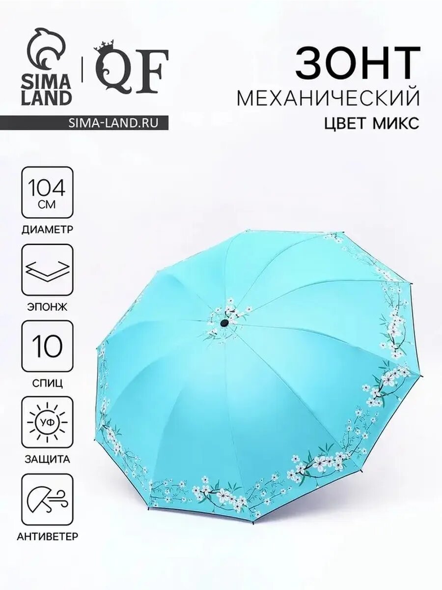 Зонт