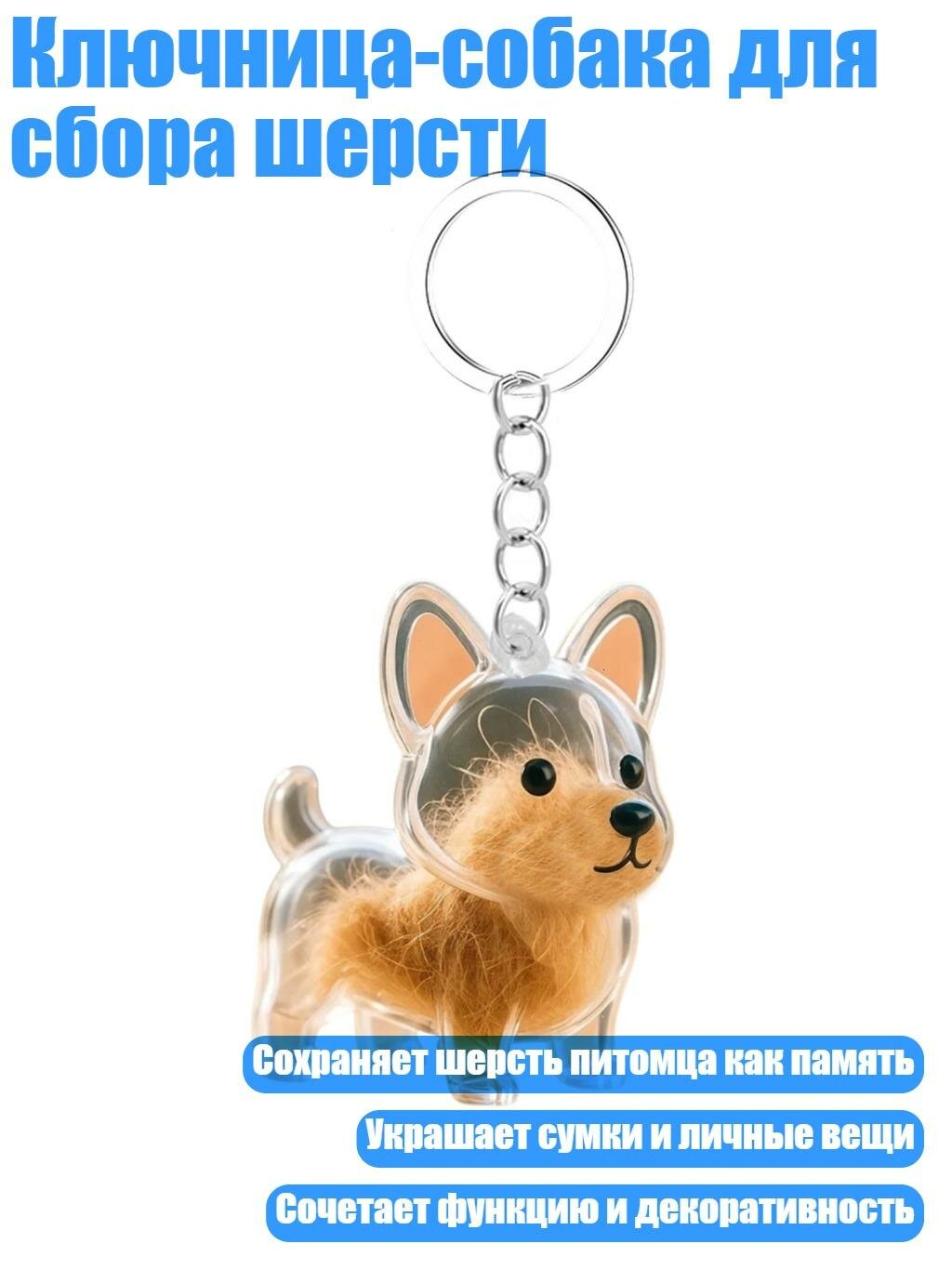 Ключница-собака для сбора шерсти, Короткий корги