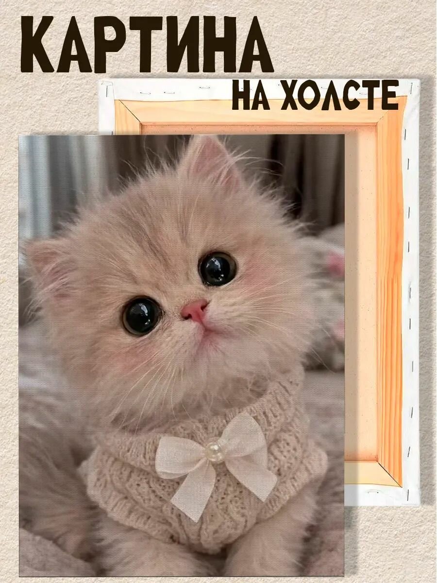 Картина на стену Милые котики, на подрамнике, 1шт, 38х25 размер.