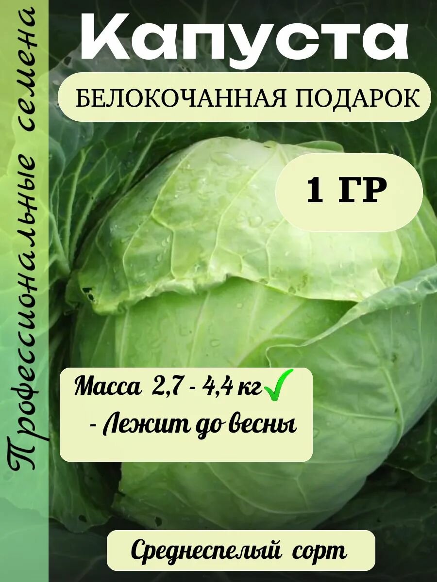 Семена капуста белокочанная Подарок 1 гр