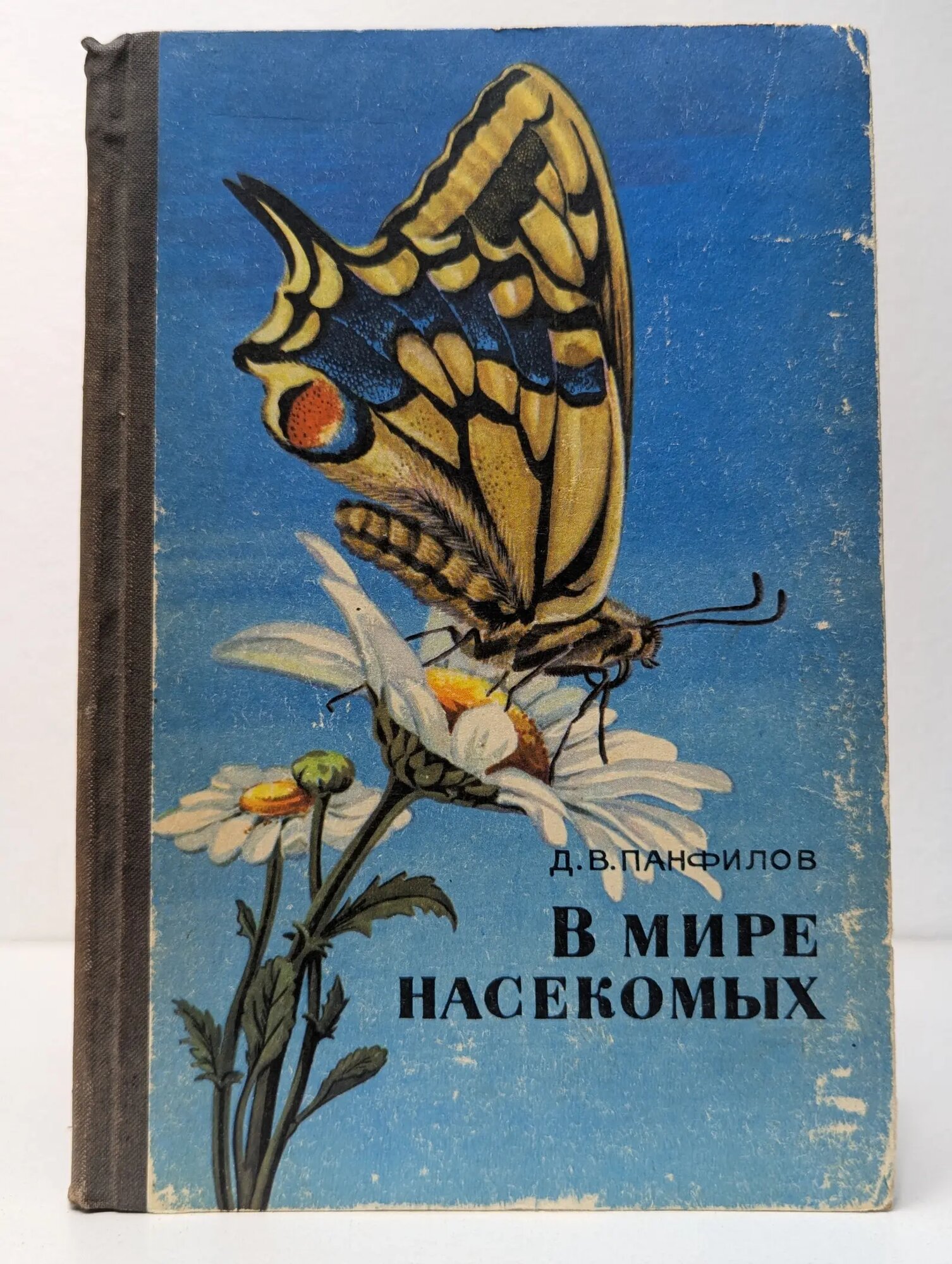 В мире насекомых Панфилов Дмитрий Викторович 1972