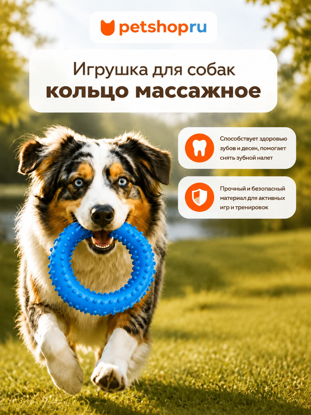 Tappi Игрушка для собак Кольцо с шипами, голубое, 155 мм