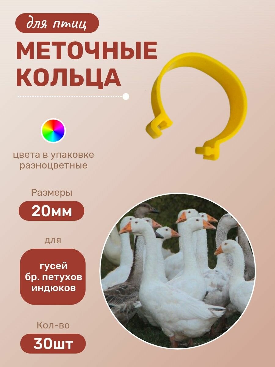 Меточные кольца для птиц, уток, гусей, бройлеров, индюков 20мм, 30шт, разноцветные