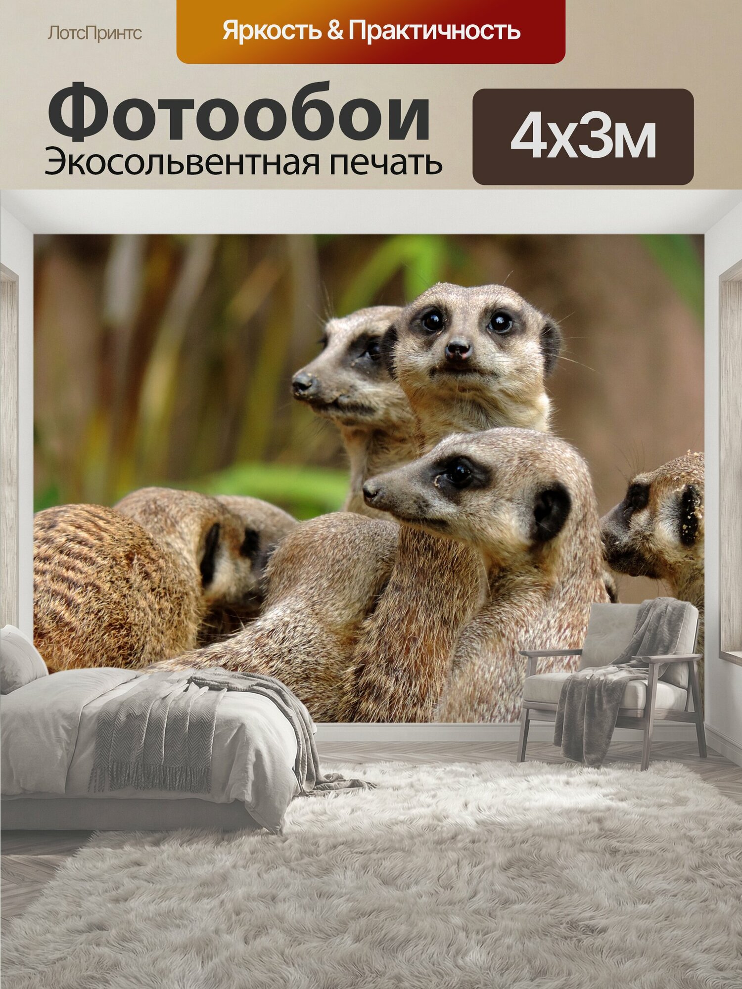 Фотообои "Сурикат, мангуста, suricata" 400x300 см. экосольвентная печать