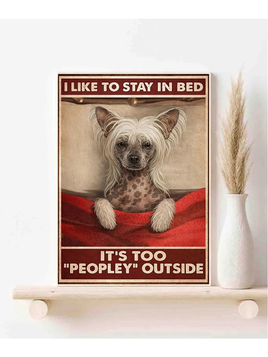 Китайская хохлатая собака, Stay In Bed, Плакат 30x42см