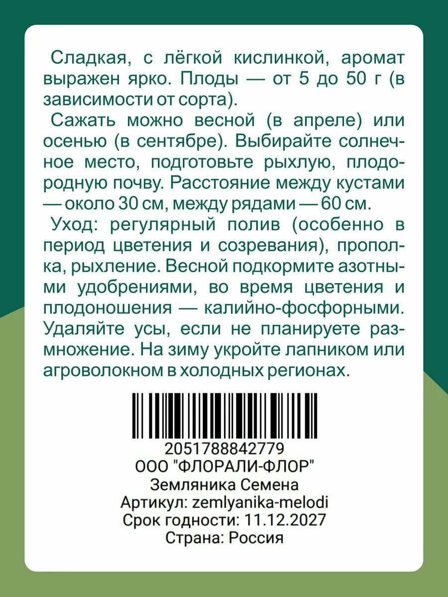 Земляника Семена — фото 1