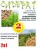 Сидерат Горох Пшеница 2в1