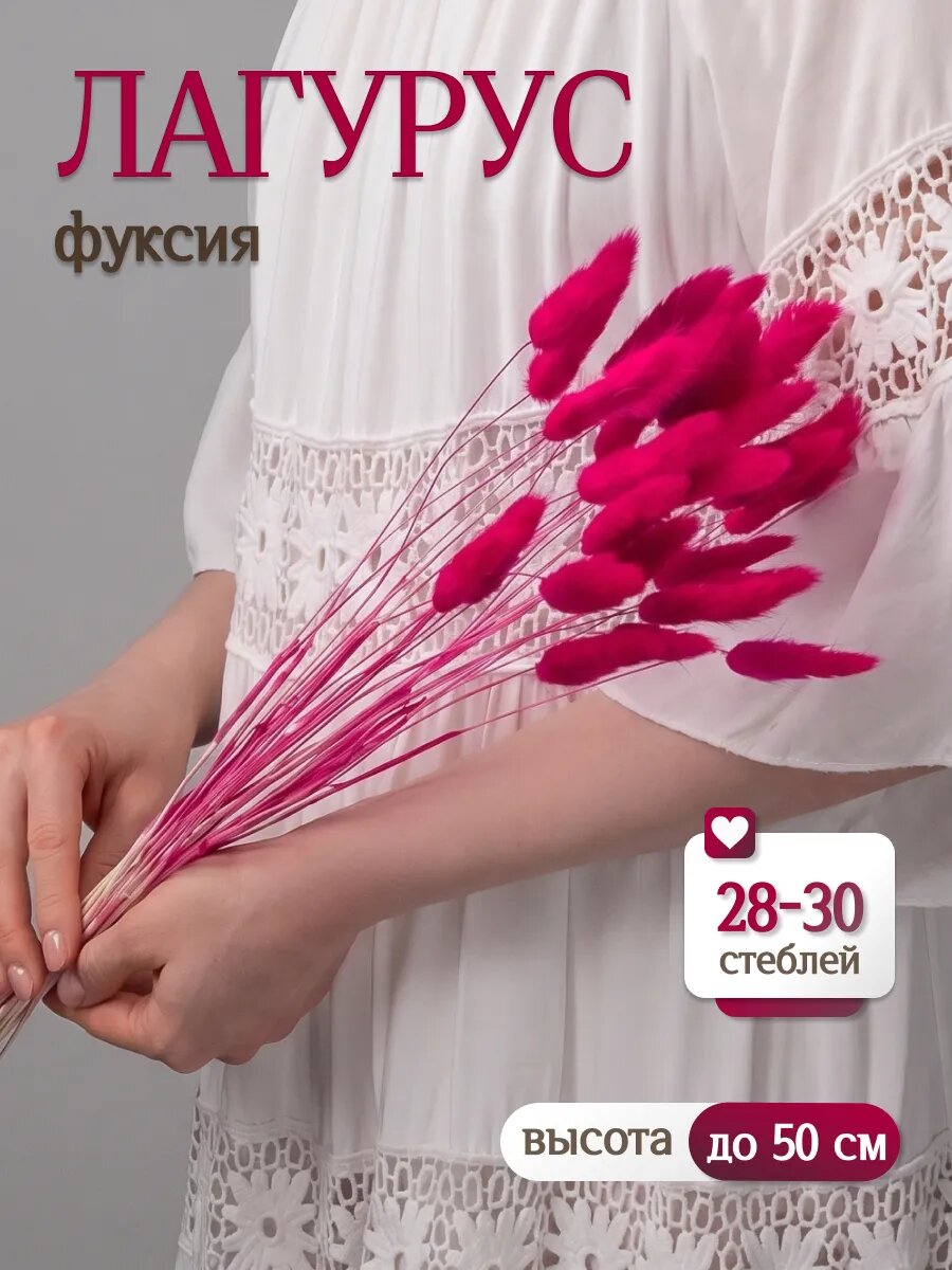 Лагурус фуксия 30 шт, сухие цветы для декора