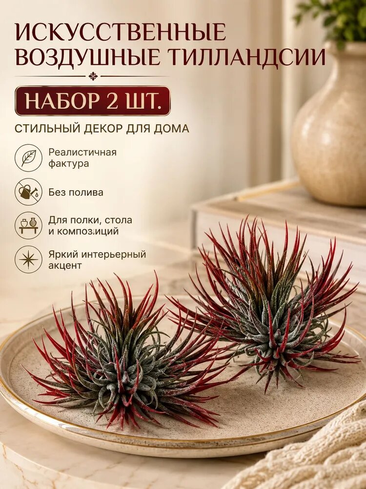 Стабилизированные цветы Бромелия, 100 гр, 2 шт