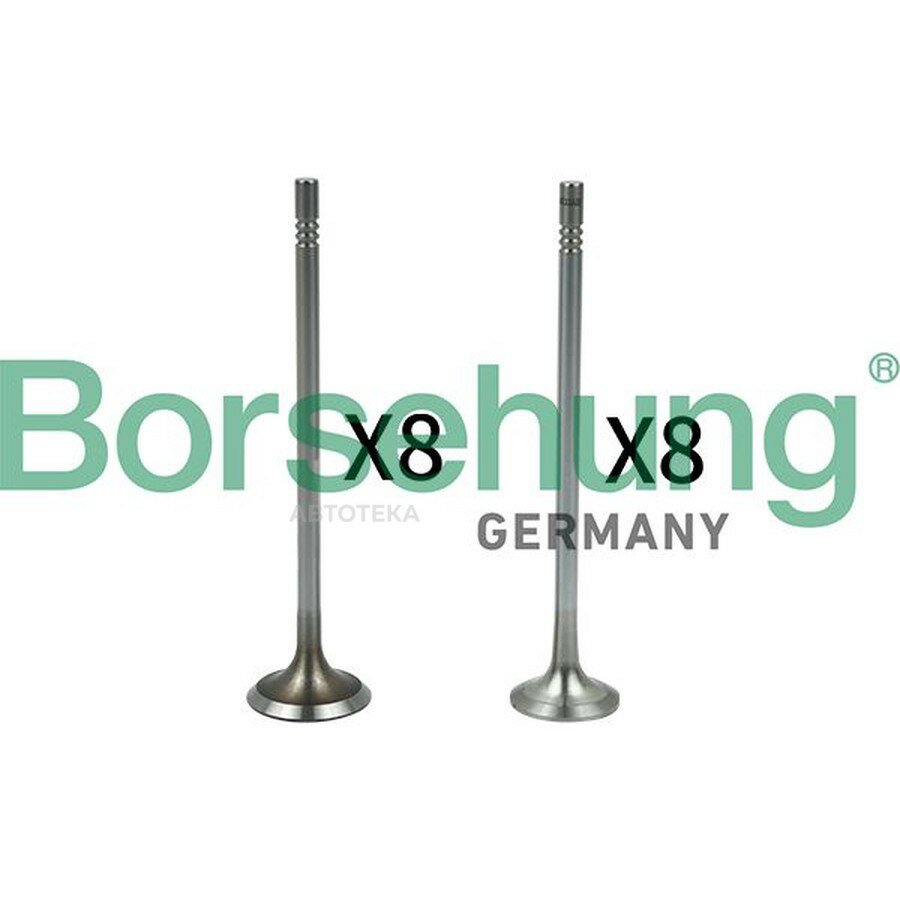 Комплект клапанов 8 8 BORSEHUNG B18632