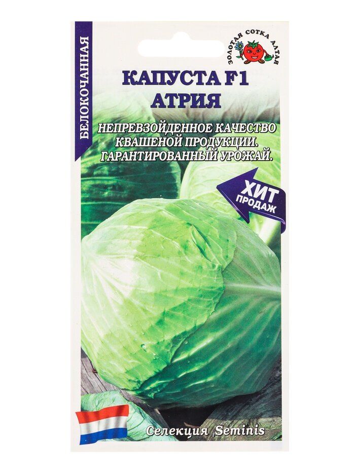 Семена Капуста белокочанная Атрия F1 /Сотка/ 10шт/ среднепозд. 4-8кг Seminis/*1500 10942165