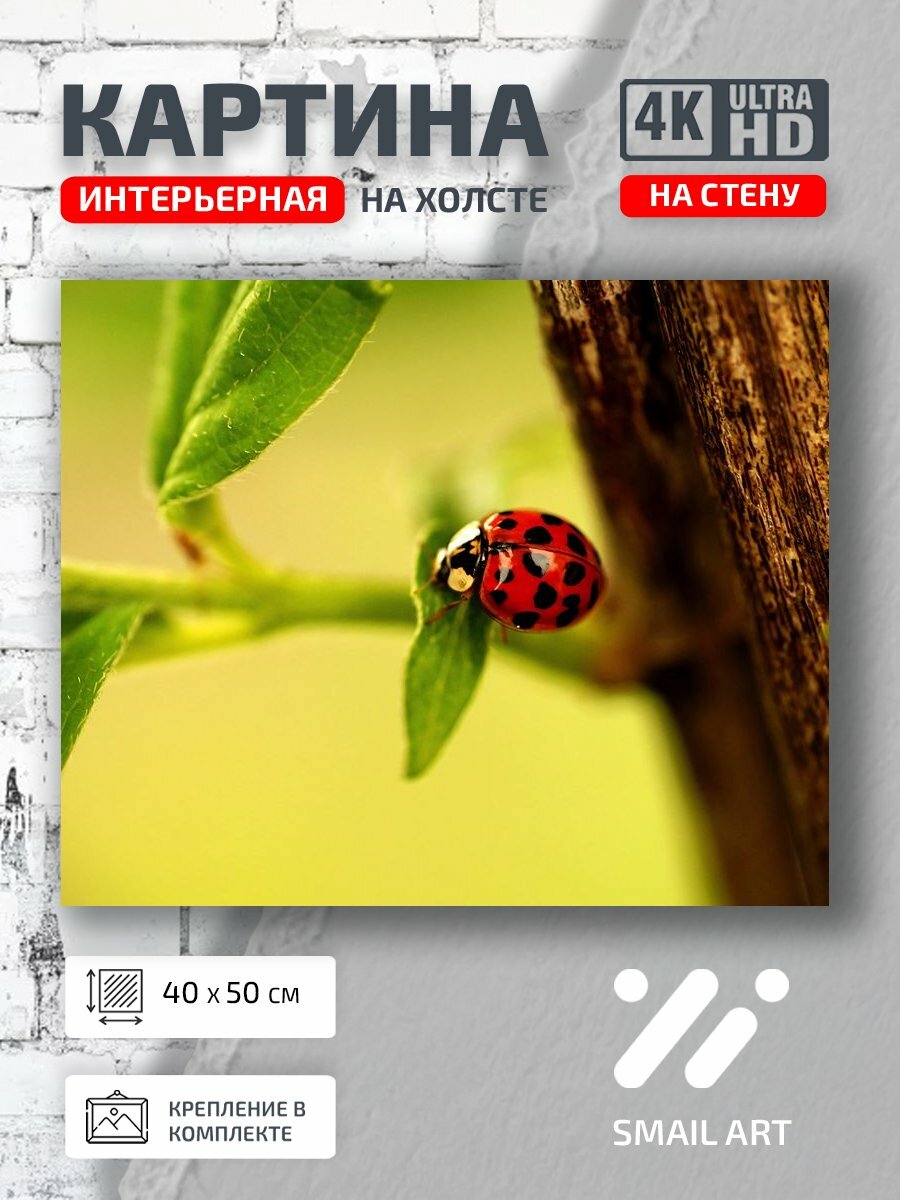 Картина на холсте интерьерная 40 на 50 на стену Ветка Landscape для спальни пейзаж интерьер