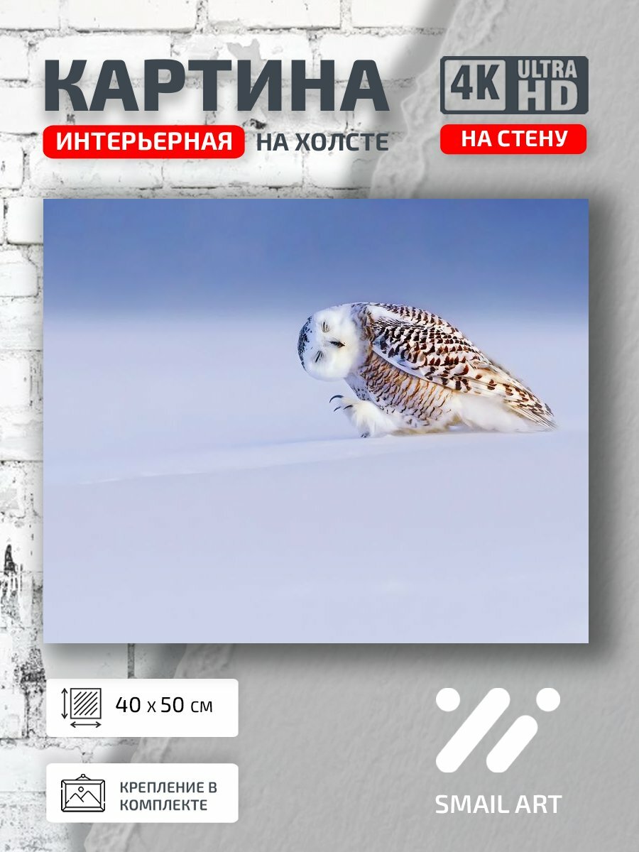 Картина на холсте интерьерная 40 на 50 на стену Зима Landscape для спальни пейзаж интерьер