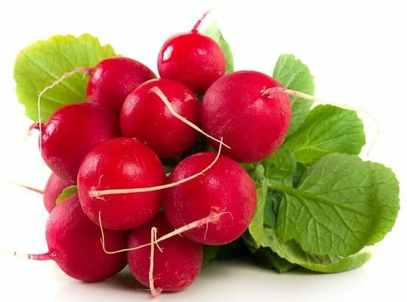 Коллекционные семена редиса Победитель