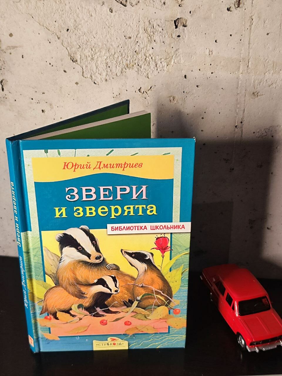 Звери и зверята