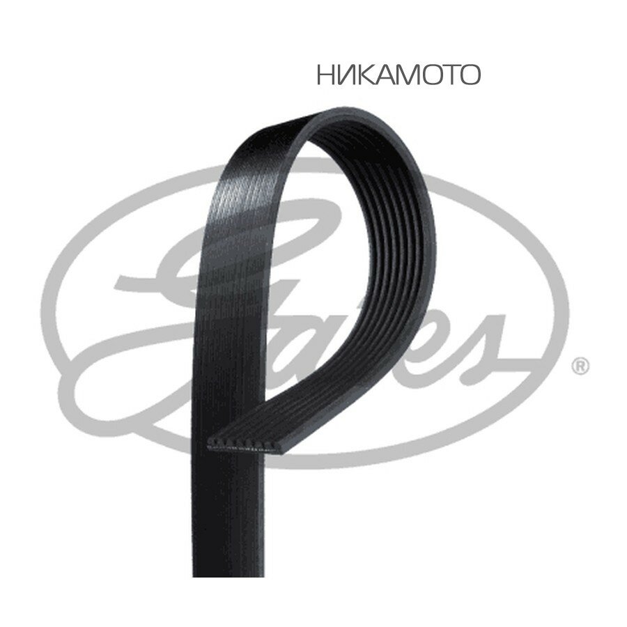 GATES 8PK1500 Ремень ручейковый 8PK1500 "GATES"