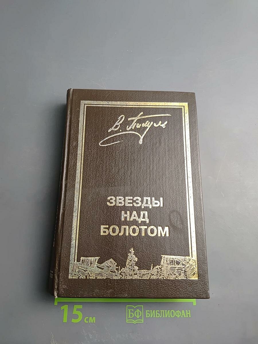 Звезды над болотом