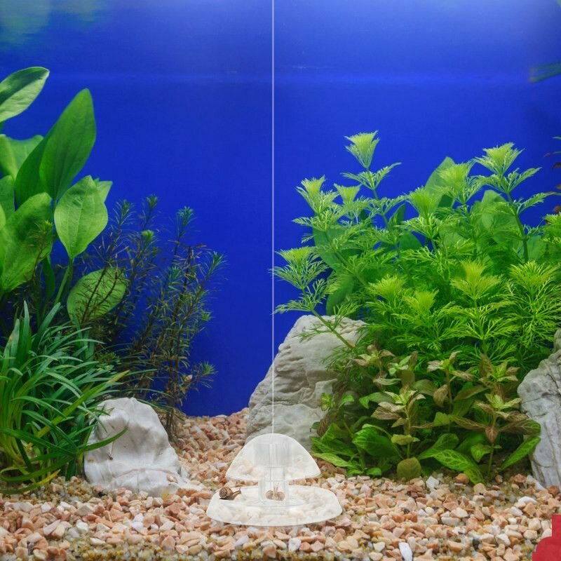 2 шт. Белая ловушка для улиток для украшения аквариума Desnail Remover Filter 6X6X4 см