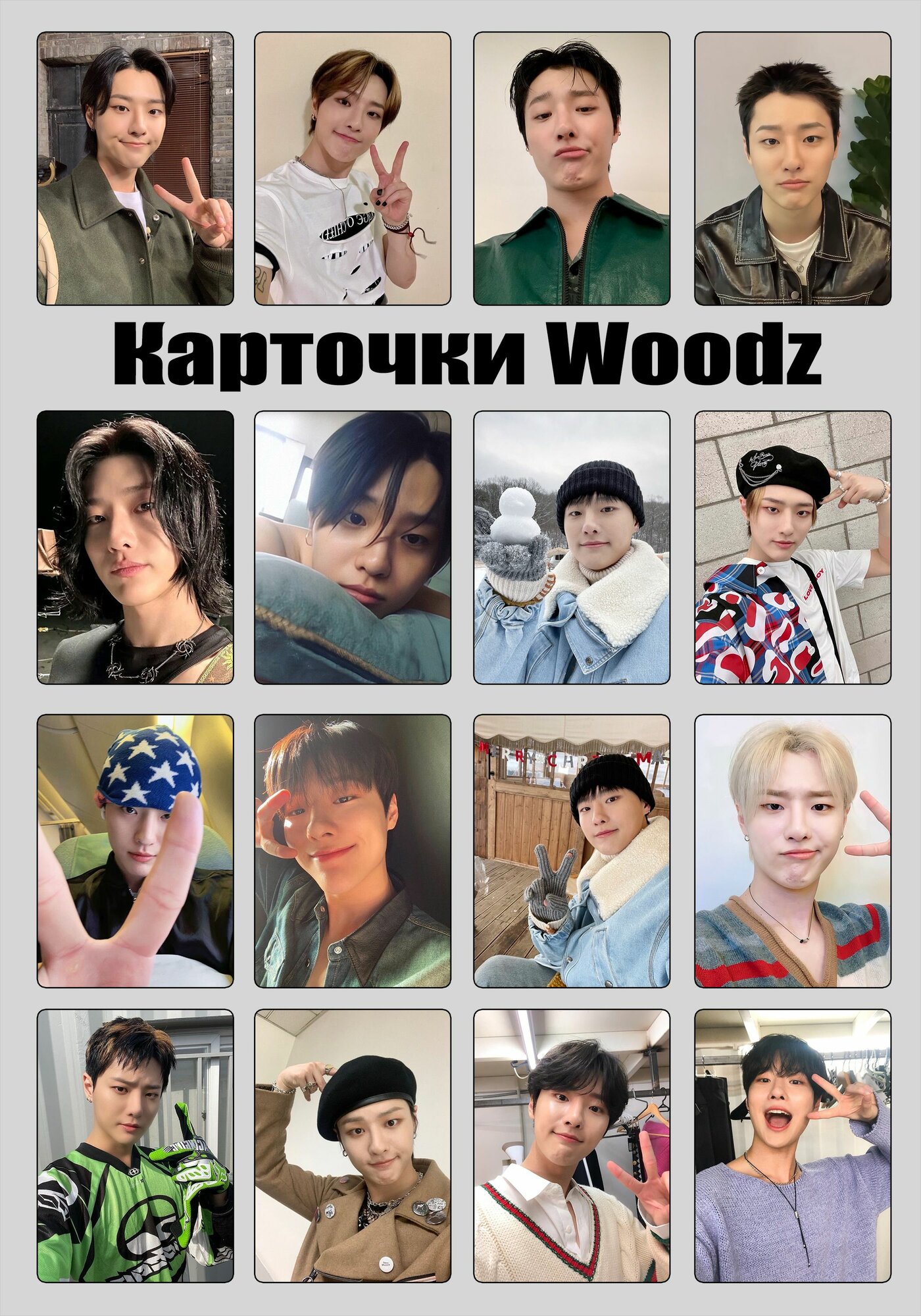Карточки WOODZ