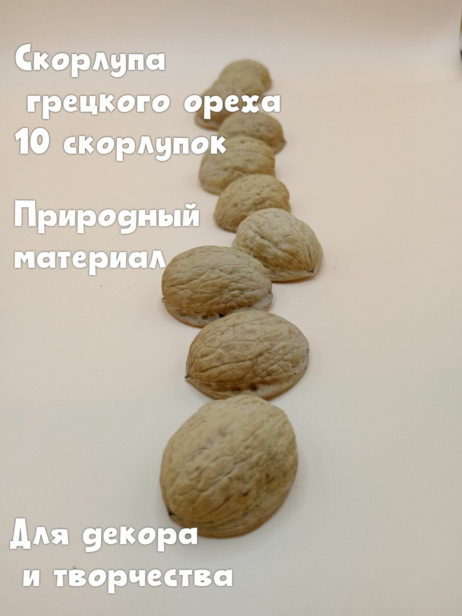 Скорлупа грецкого ореха (10 скорлупок )