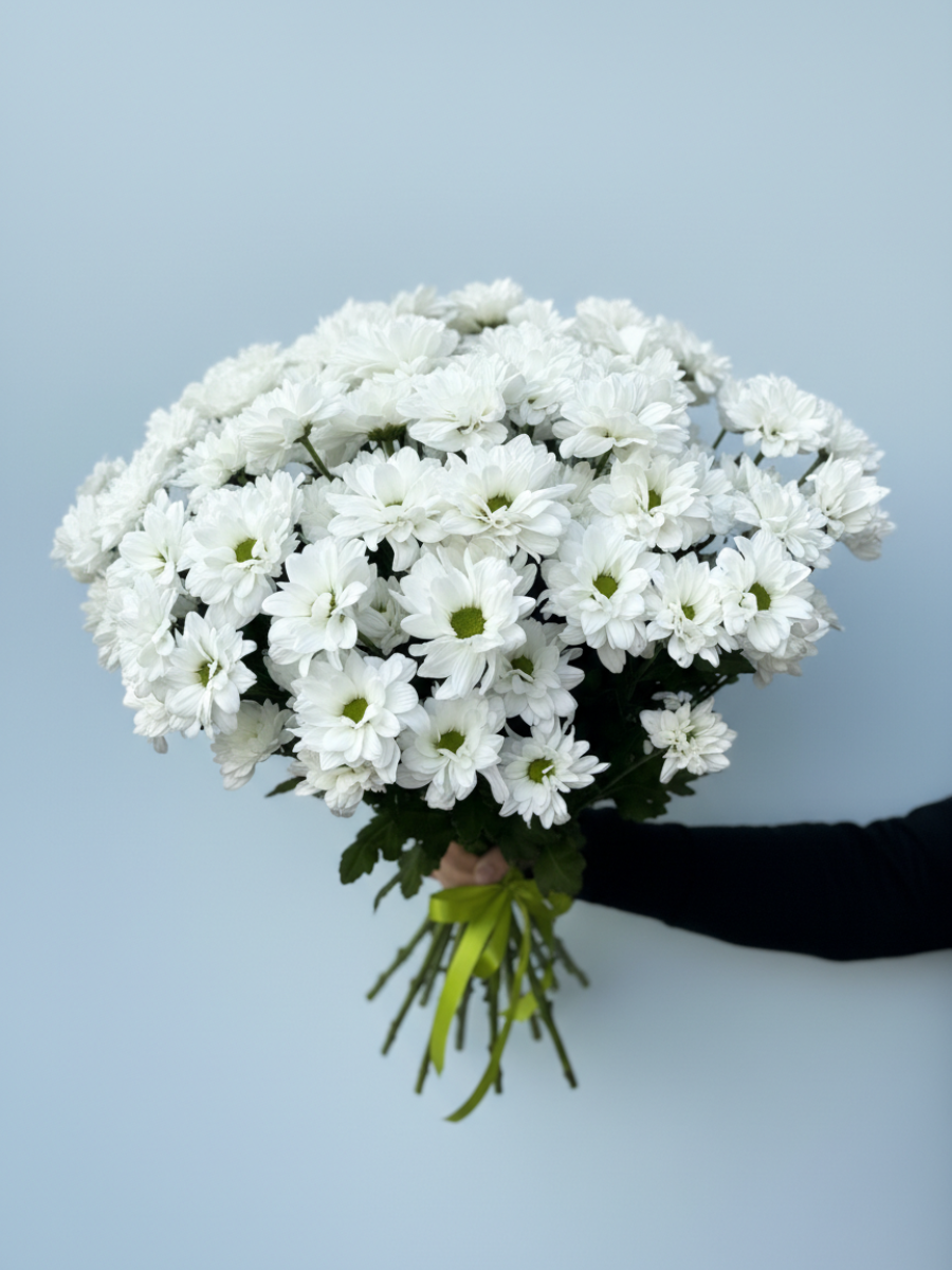 Букет из 11 кустовых хризантем под ленту, монобукет, 50 см | Турбофлора