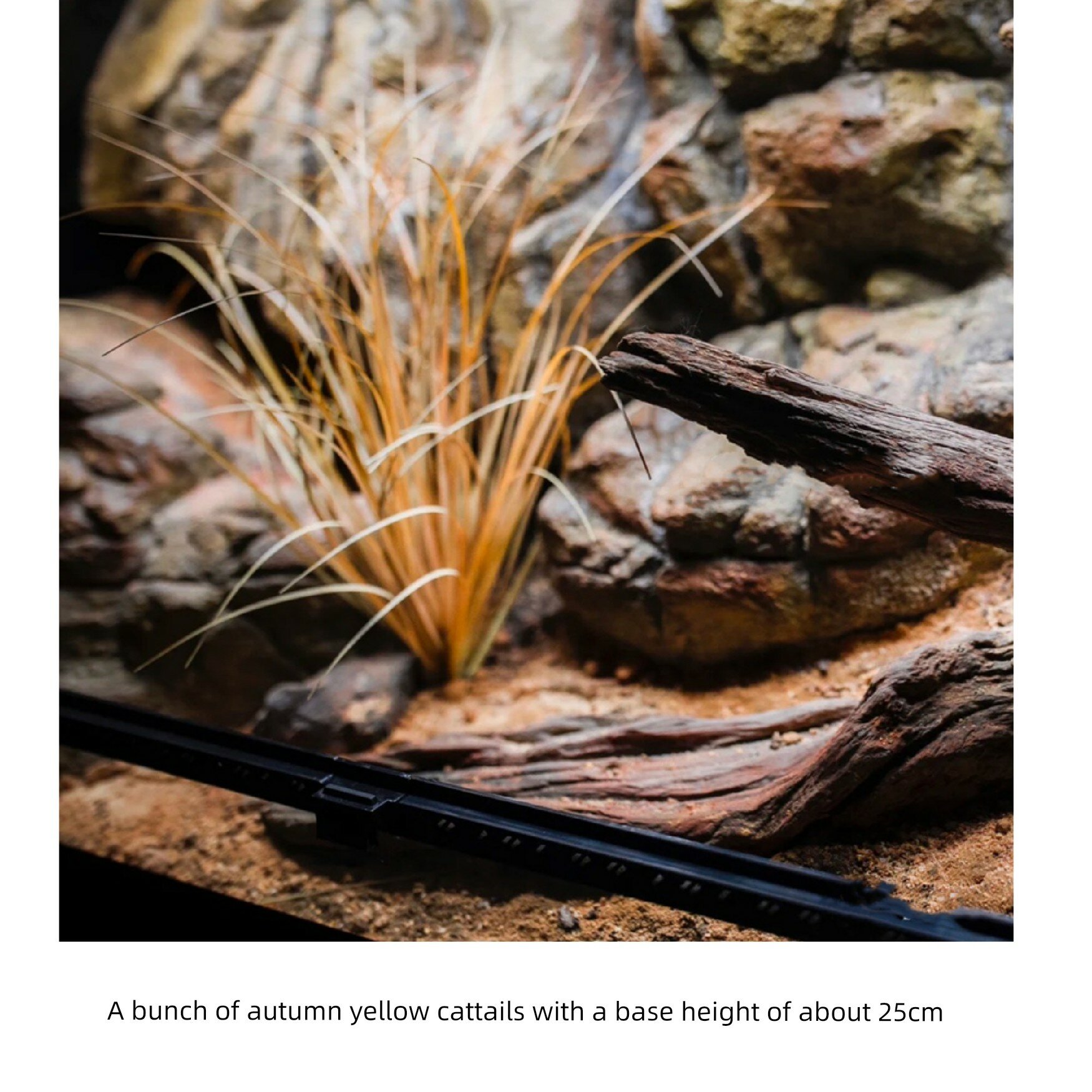 Резьба по разложенной древесине для ландшафтного дизайна террариума для рептилий, состаренная древесина для декора