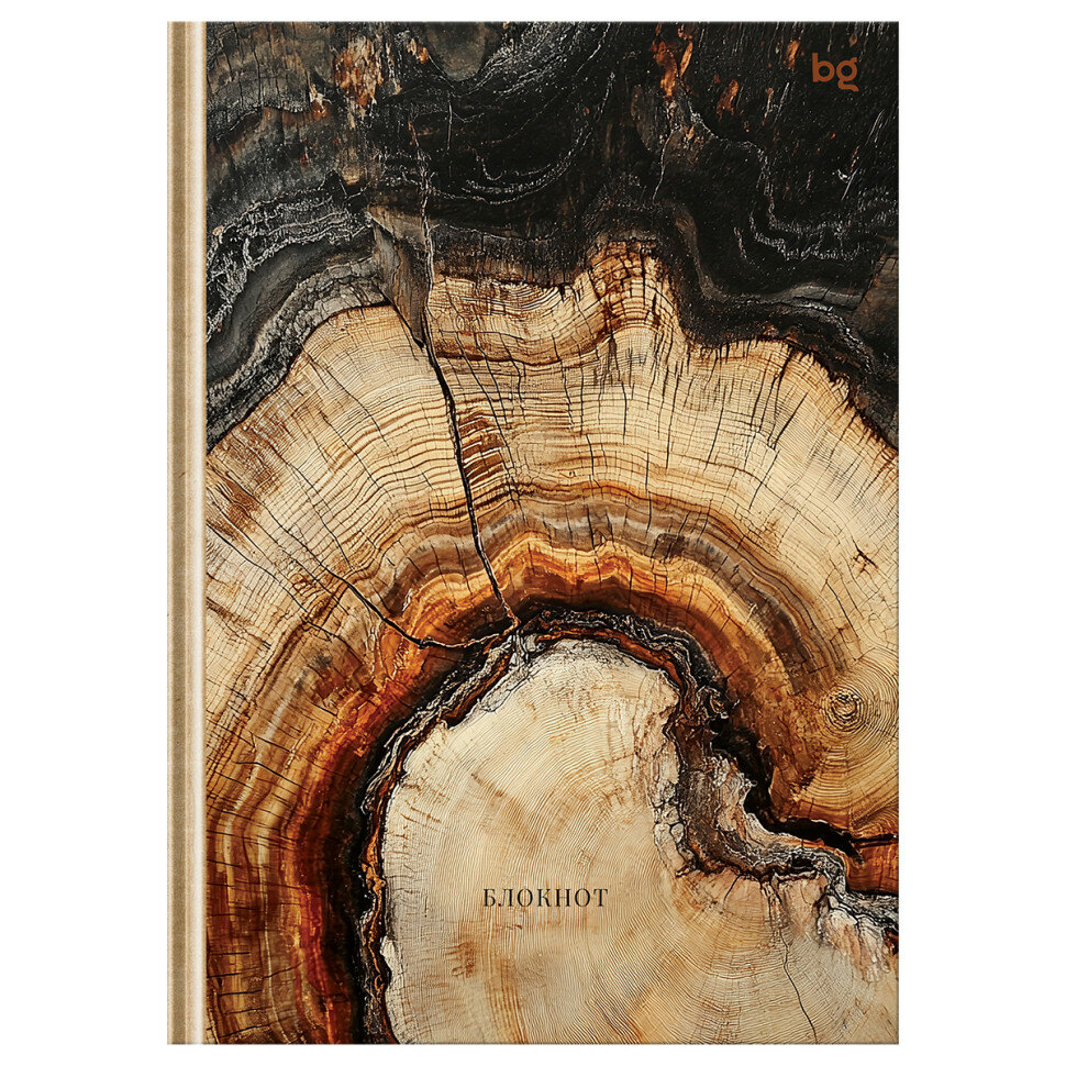 Бизнес-блокнот А5, 64л, евроформат, BG "Древо", матовая ламинация, тиснение фольгой, 381650