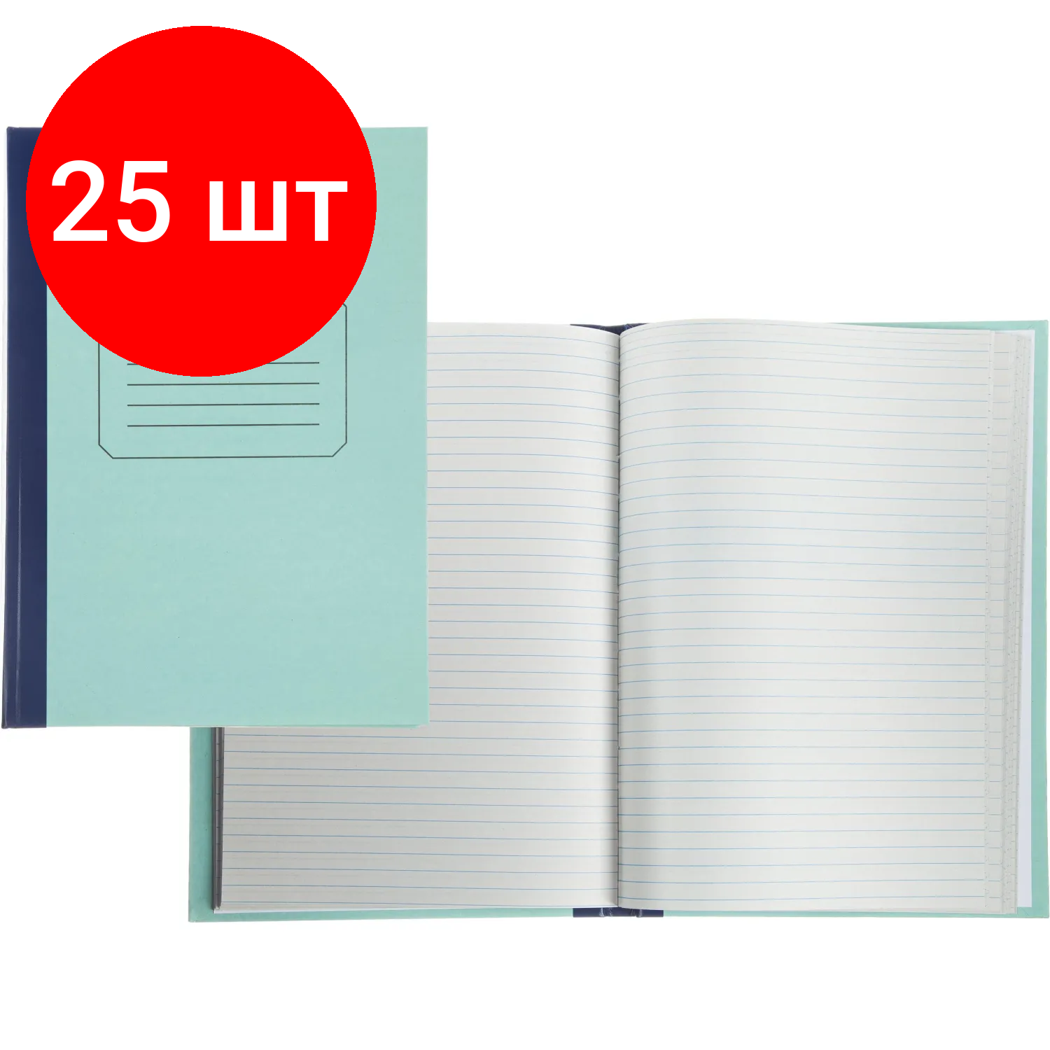 Комплект 25 штук, Книга учета амбарная в линейку 96л. обл. плотн. картон г/б