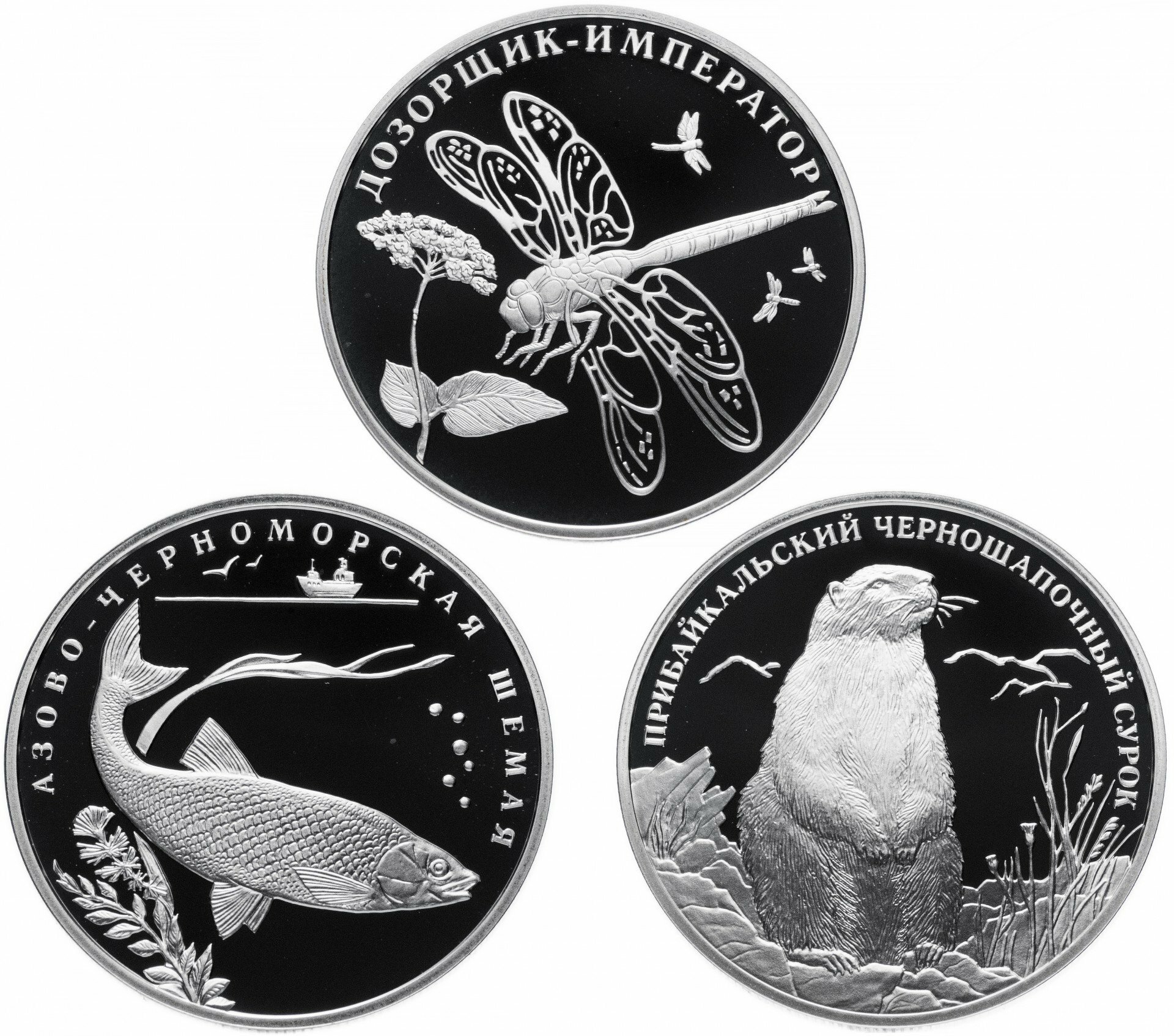 Набор 2 рубля 2008 СПМД Proof "Красная книга - сурок, шемая, дозорщик", 3 штуки, Серебро 925