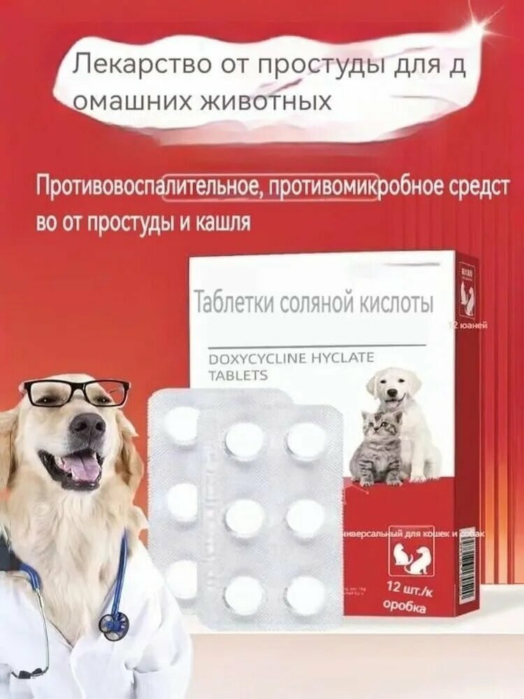 Капли для кошек и котят для повышения иммунитета против вирусов, простуды и инфекций