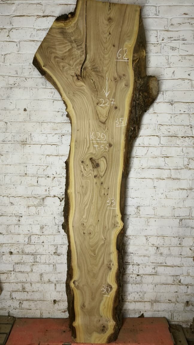 Слэб дерева Карагач К29, выровнен в плоскости, 227*62*5.5, влажность 8-10%