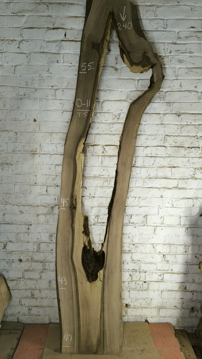 Слэб дерева Орех грецкий О11, подходит под заливку эпоксидной смолой