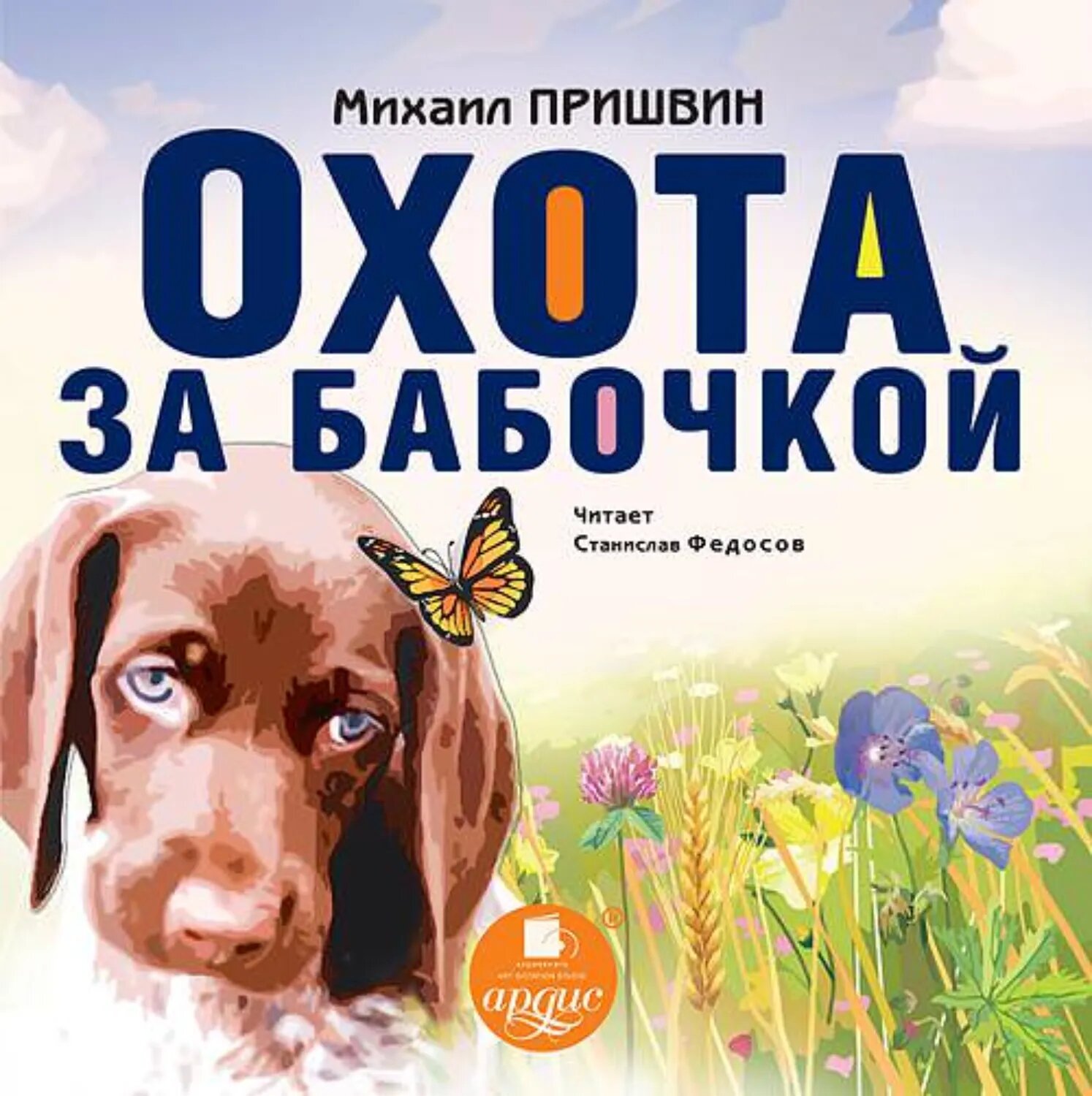 Охота за бабочкой [Аудиокнига]