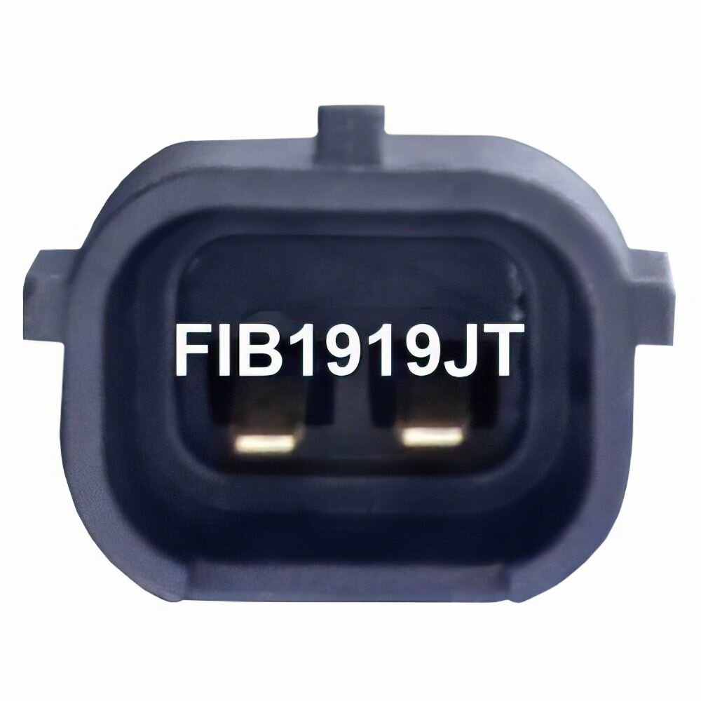 Форсунка топливная бензиновая, для Хендай Элантра, Солярис, i30, ix20, КИА Венга, Спектра, Соул, Рио, Церато, Сид, Каренс арт FIB1919JT