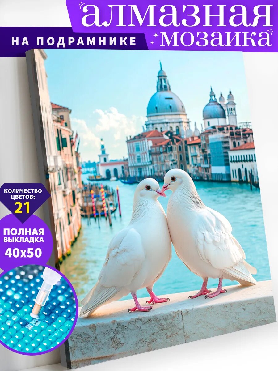 Голуби Венеции Алмазная мозаика на подрамнике 40х50 см