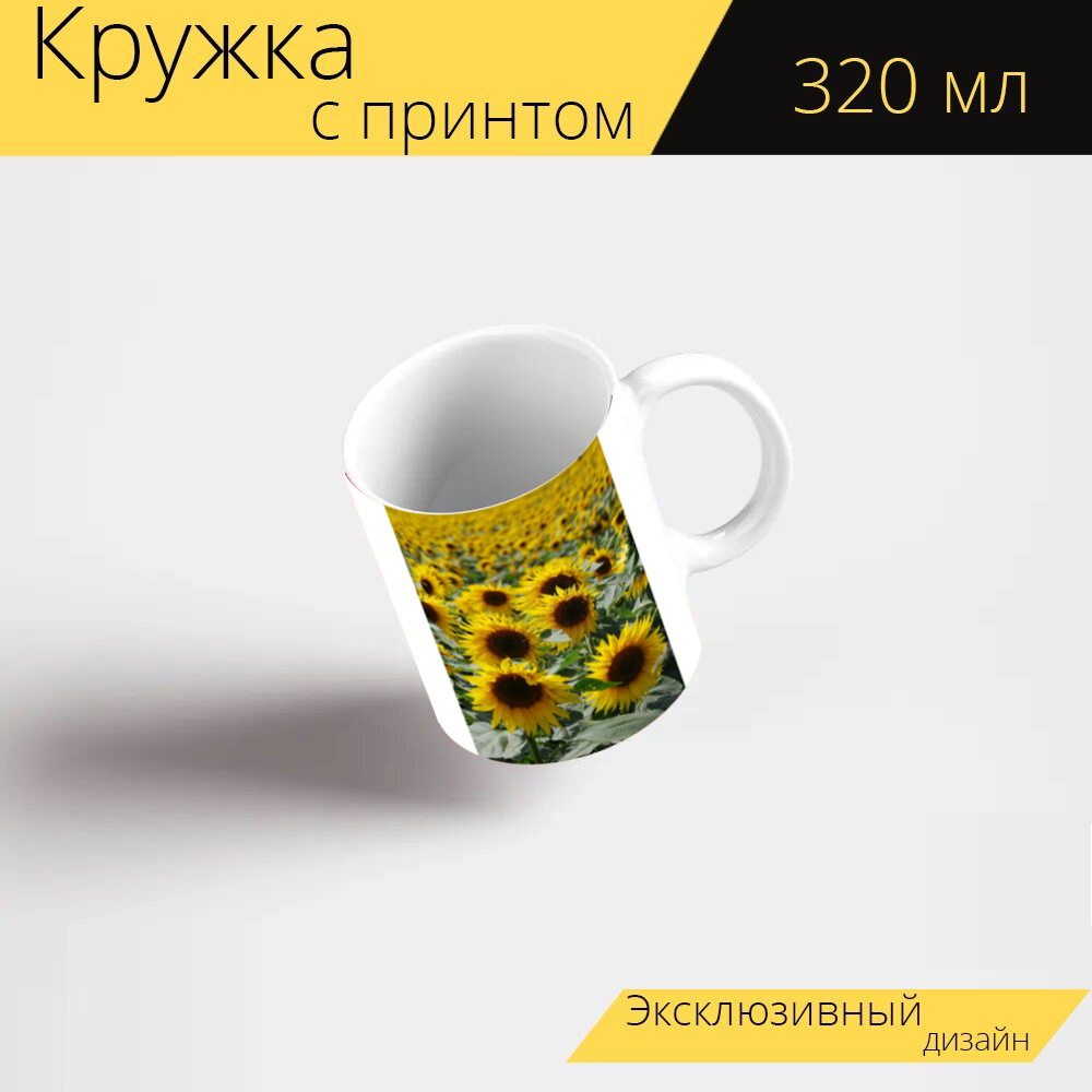 Кружка с рисунком, принтом "Подсолнечник, helianthus annuus, желтый" 320 мл.