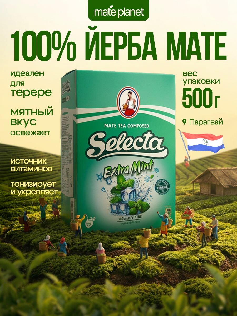 Чай йерба мате Selecta Extra Menta 500г