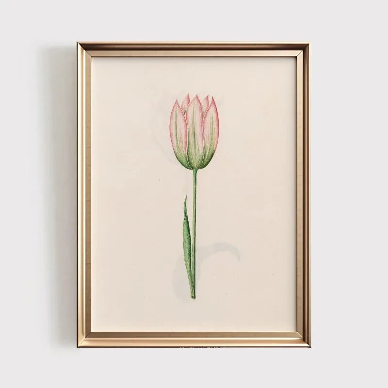 Постер тюльпан, 20x30см, цвет 10, без рамы