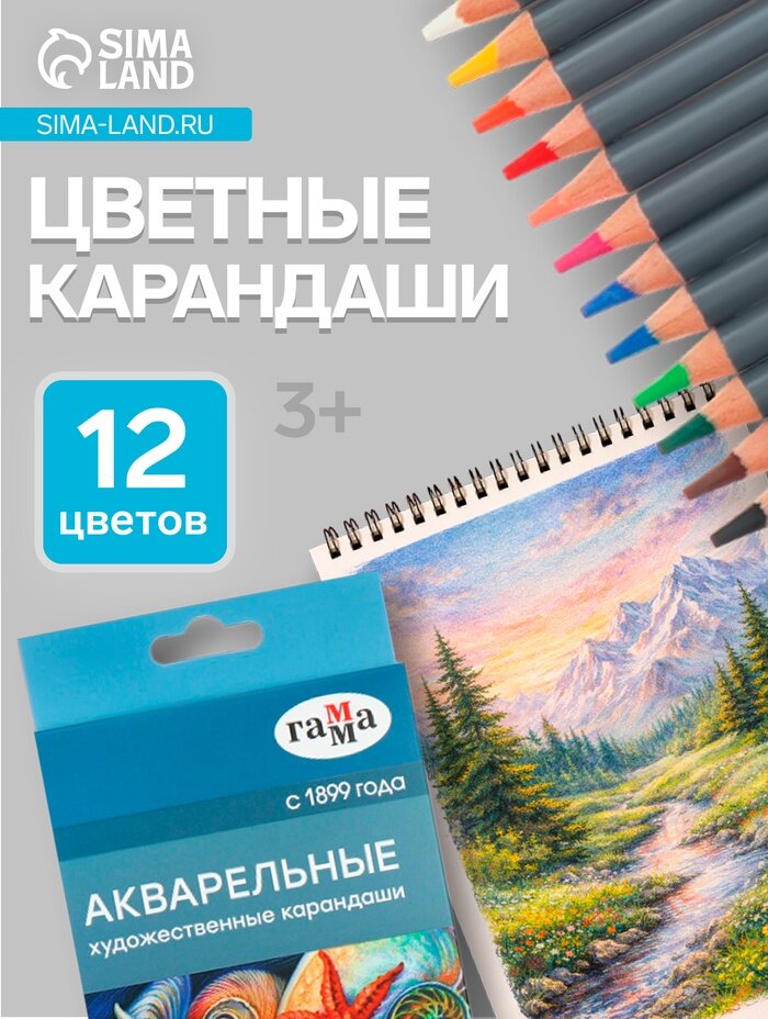 Карандаши цветные акварельные «Гамма. Студия» 12 цветов, грифель 3.8 мм, картонная коробка 110822_12
