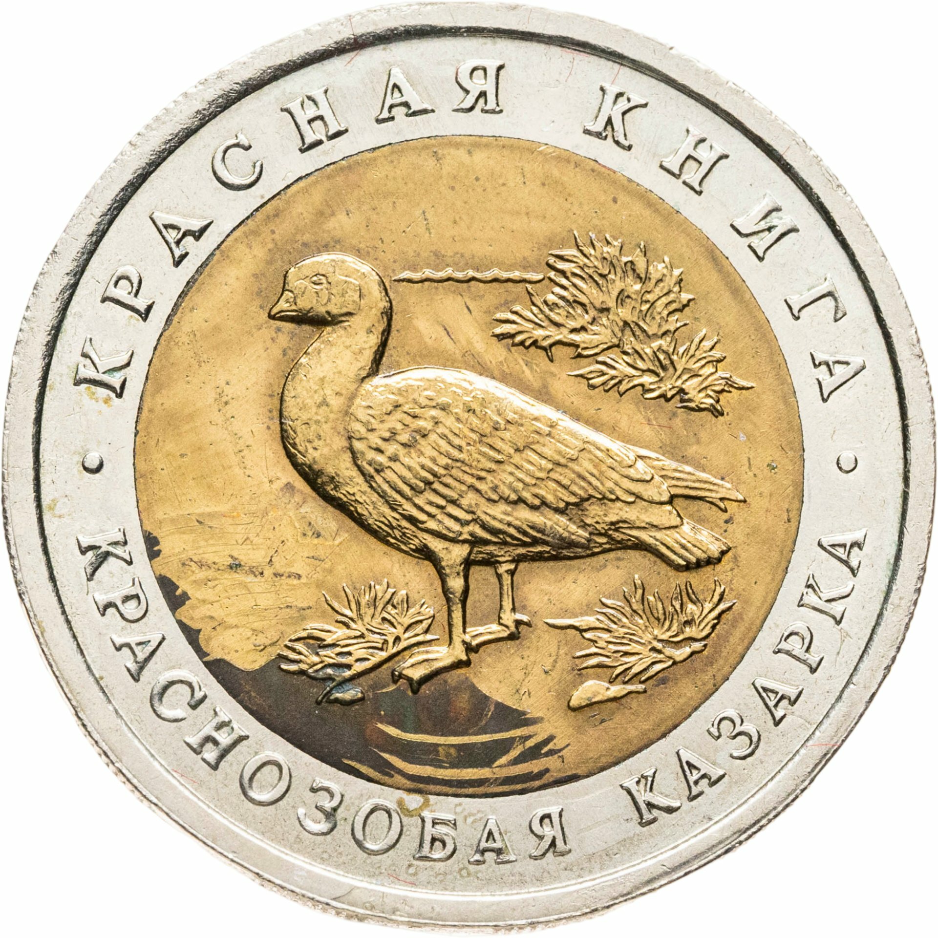 10 рублей 1992 ЛМД краснозобая казарка