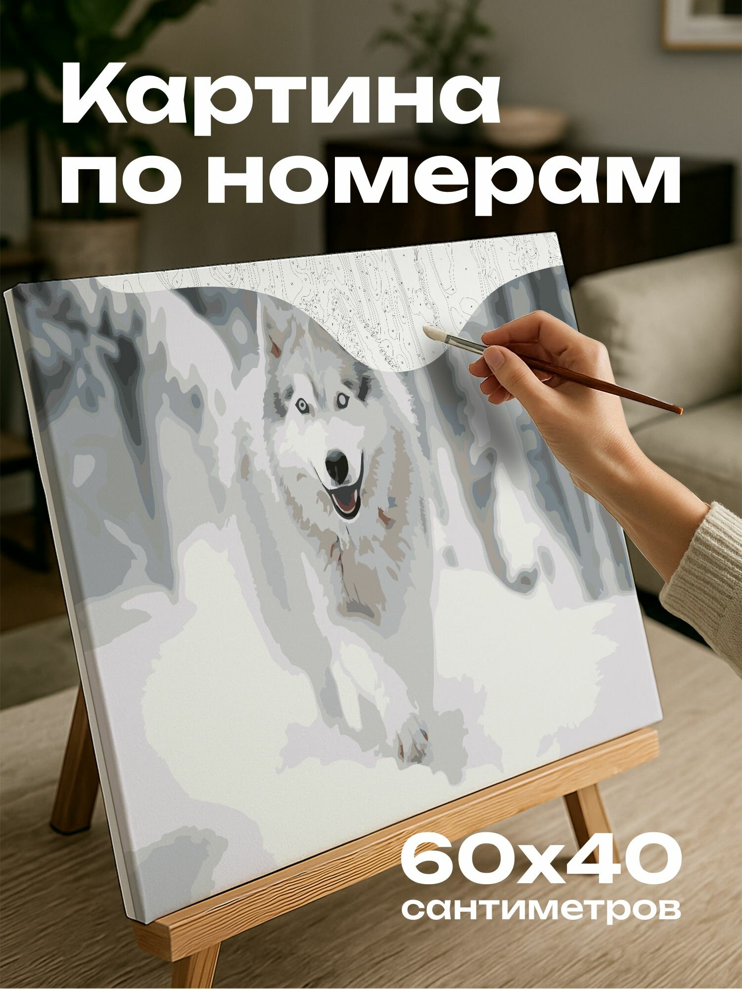 Картина по номерам 60x40 см, хаски, пейзаж, фотография, бегущая, заснеженный лес, мягкий ветерок, шелестящая шерсть