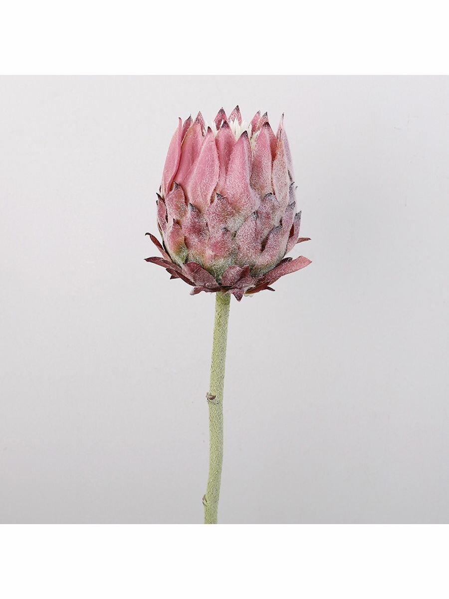 Один скандинавский чертополох, украшенный свадебными контрафактными цв