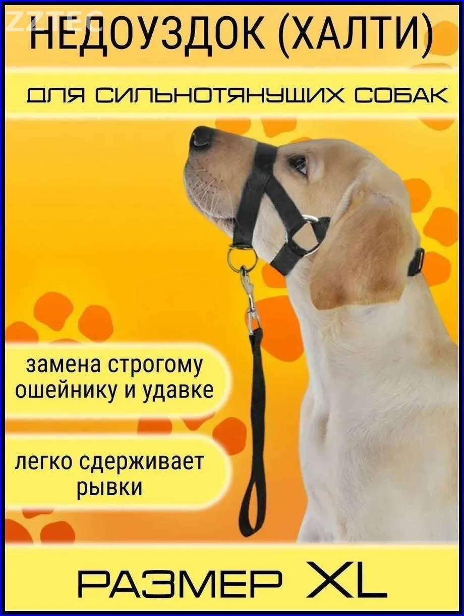 Недоуздок для собак крупных, средних, мелких пород / Намордник халти
