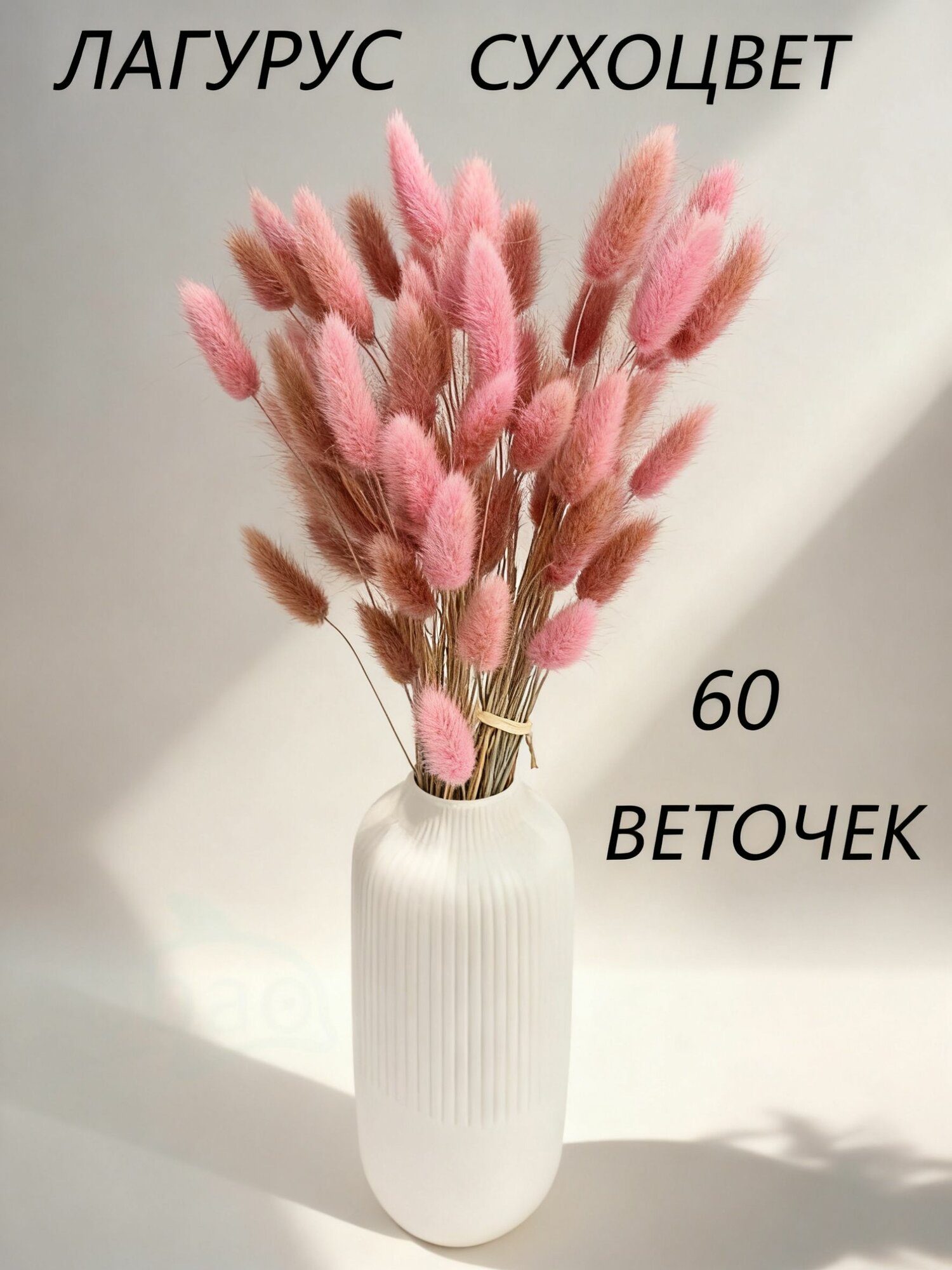 Сухоцветы
