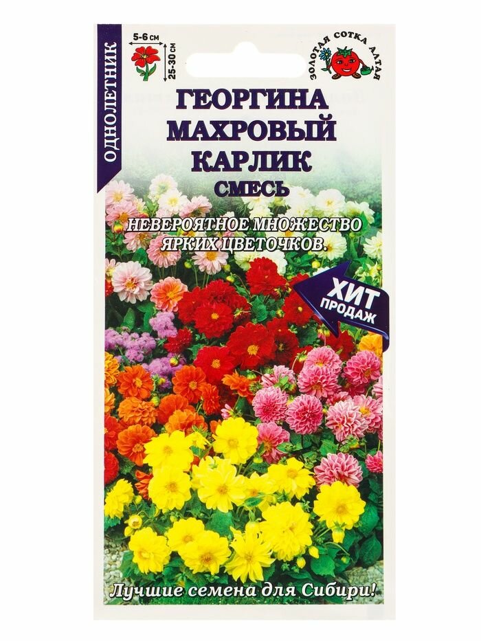Семена Георгина Махровый карлик смесь , 0.2 г, Золотая Сотка Алтая