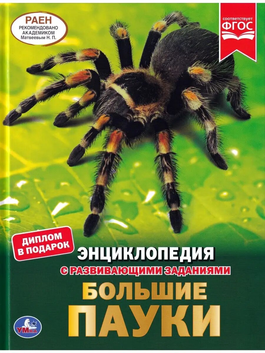 Большие пауки. Энциклопедия с развивающими заданиями
