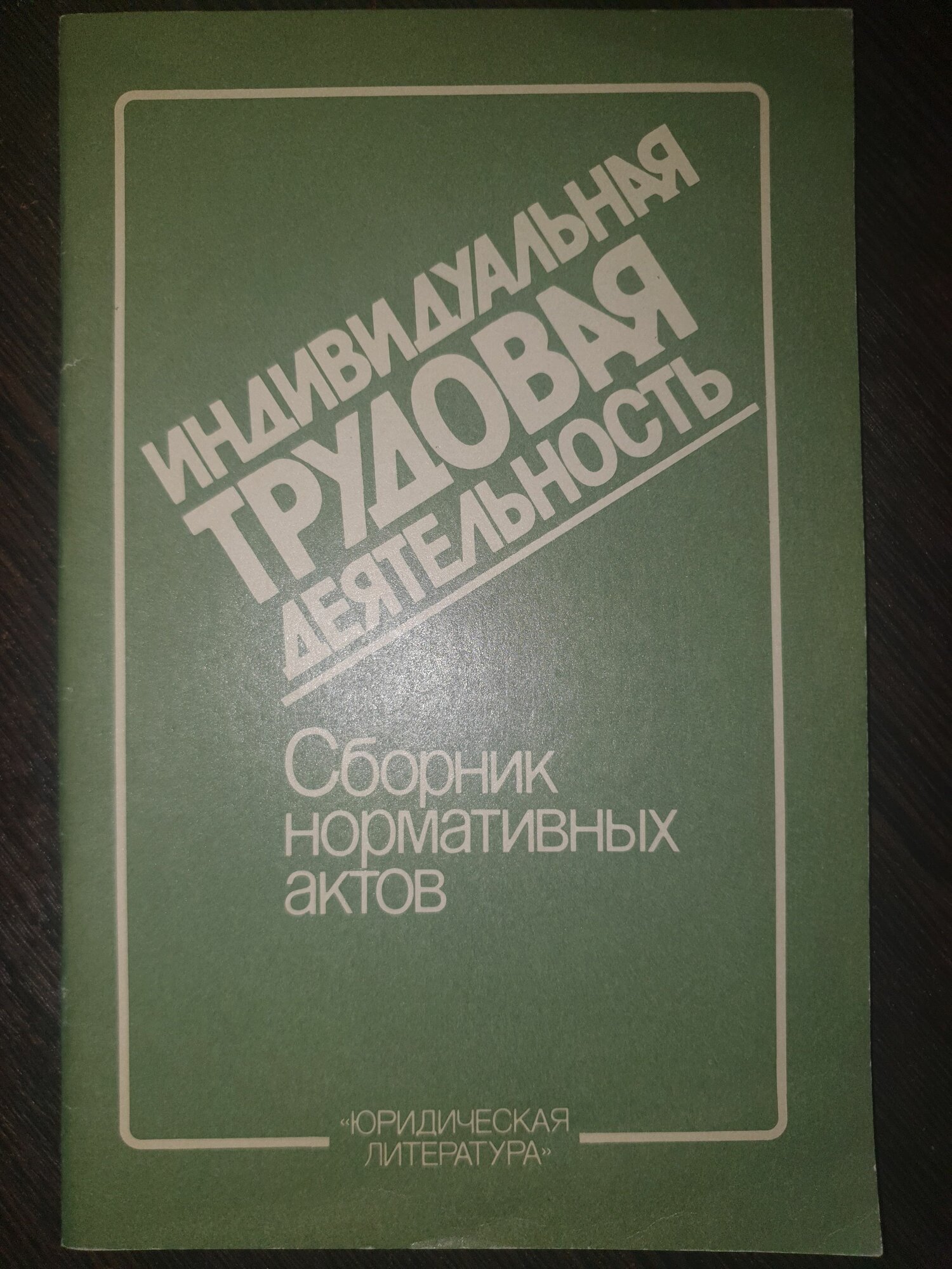 Индивидуальная трудовая деятельность