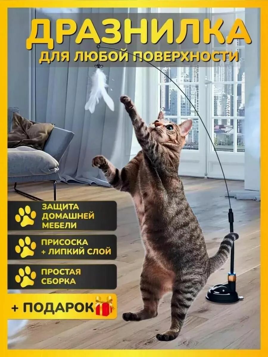 Игрушки для кошек мячики звенящие 3 шт. Специальная цена, из Китая. Специальная цена, из Китая. Специальная цена,